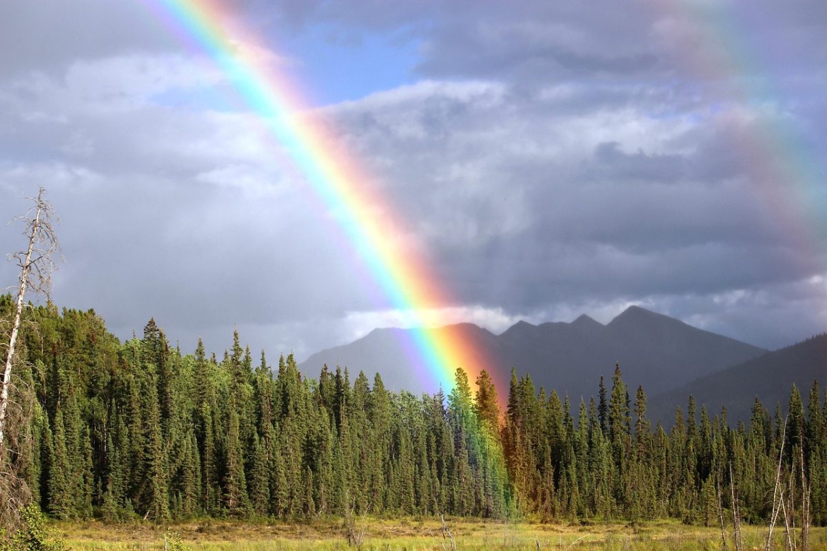 Discover the Magic Behind Fire Rainbows: A Comprehensive Guide to ...