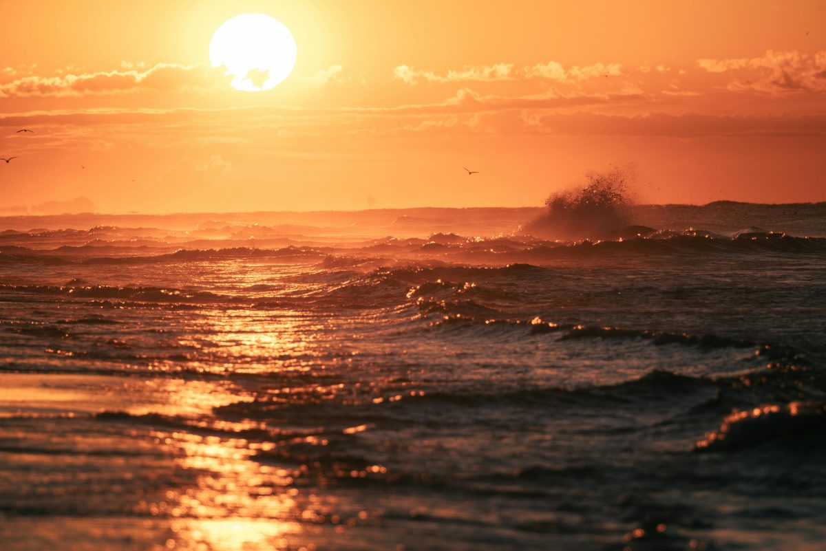 Tsunamis vs Tidal Waves: Understanding the Difference ...